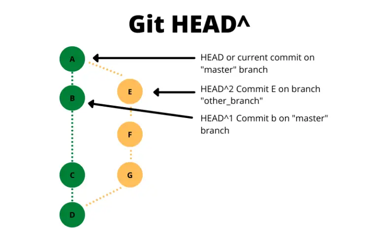 What Is Git Head A Practical Guide Explained With Examples Become A Better Programmer