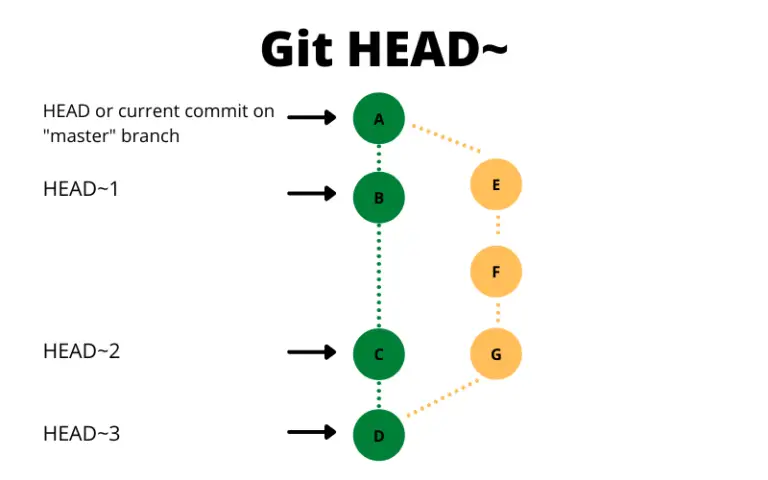 What is Git HEAD? A Practical Guide Explained with Examples - Become A ...